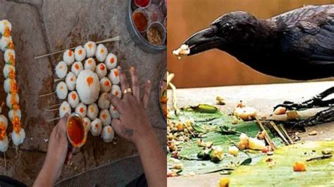 Pitru Paksha 2024 Some Symptoms Of Pitru Dosha Devotees Follow These Remedies Details Pa Pitru