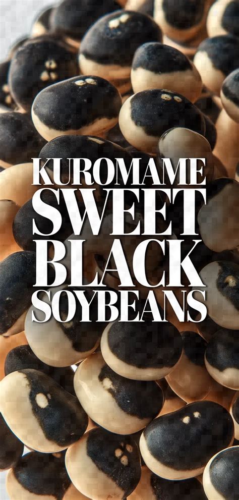 Kuromame Sweet Black Soybeans Recipe Tempura Tales