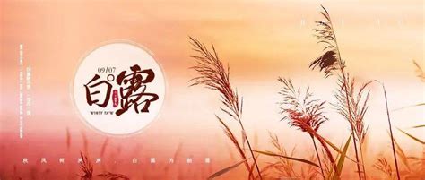 天地生白露人间秋味浓 风从 望远方 吉林