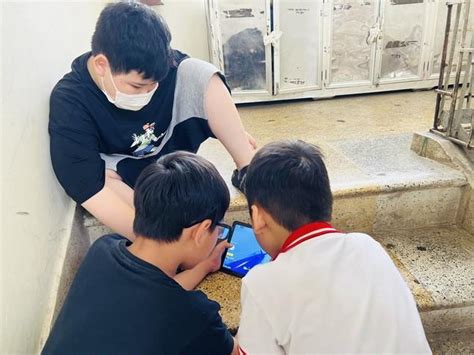 Giao điện Thoại Cho Học Sinh Từ Sớm Quản Lý Thế Nào