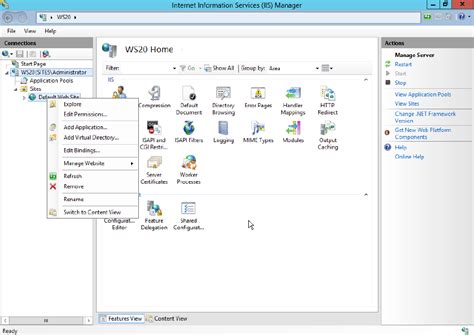 Installing Microsoft Internet Information Services On Windows Server