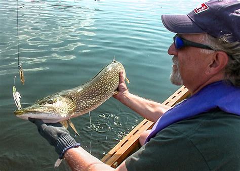 Ontarios Fishing Gems Algoma And Sunset Country Northern Ontario Travel