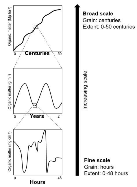 Temporal Scale Scale Passel