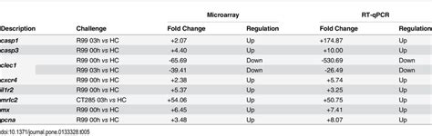 Microarray Validation Analysis By Rt Qpcr Absolute Quantification Based Download Table
