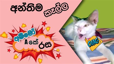 උන්ගේ කෝලම් උන්ටම එපා උනාම 😂😂😂 Youtube