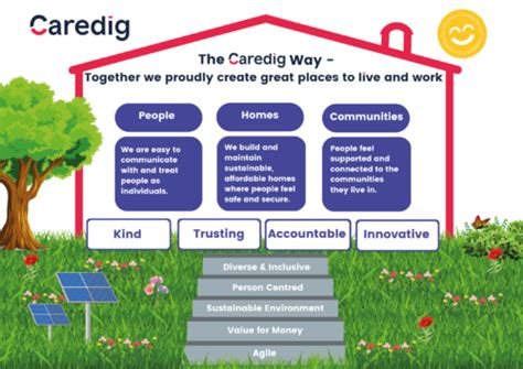 The Caredig Vision Caredig