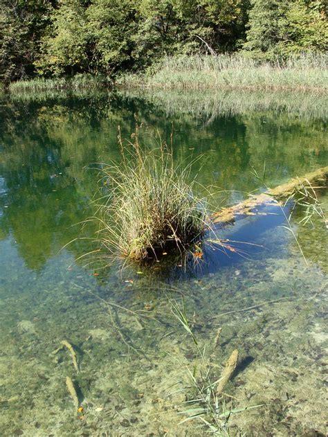 Sony Cyber-shot DSC-H10 sample photo - IIR8iK1115 - ExploreCams