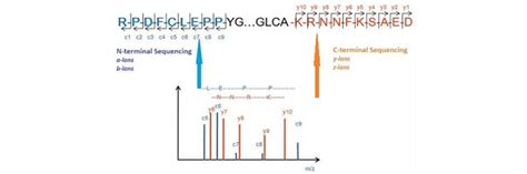 Nc Terminal Sequencing Service Mtoz Biolabs