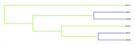 The Snp Snp Interaction Dendrogram From Multifactor Dimensionality Download Scientific Diagram