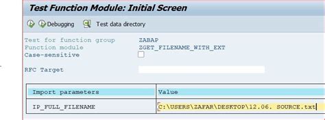SAP ABAP Function Module To Get Filename And Extension