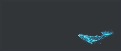 Nucleoid A Neuro Symbolic Ai With Declarative Logic Artificial