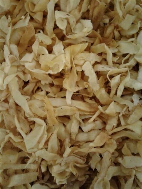 Jual Nyuk Cuk Loss 100g Jakarta Utara Tts Grosir Tokopedia