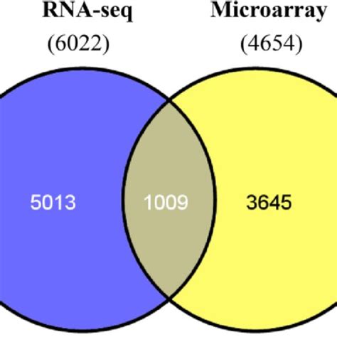 top 30 most significant differentially expressed protein coding genes