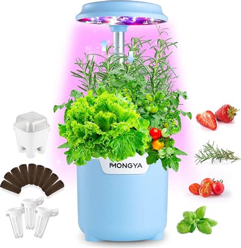 Small Home Hydroponic Systems Compact Hydroponic Herb Garden Starter