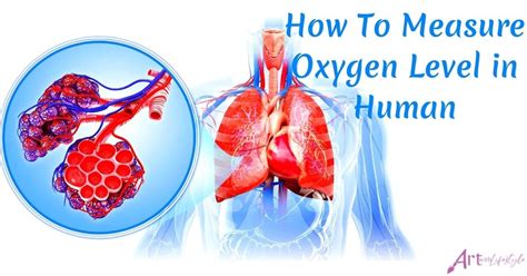 How To Measure Normal Oxygen Level In Human Art With Lifestyle