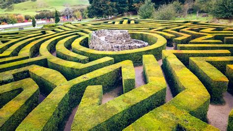 Introduction To Leeds Castle Maze In Kent Uk Happy Mazes