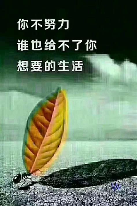 風雨人生 淡然在心 當我們猶豫的時候這個世界就很 每日頭條