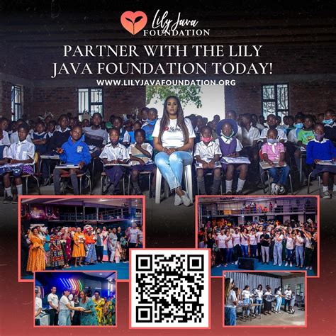 Lily Java Foundation