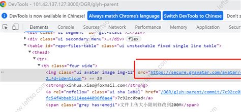 Gogs 访问慢 禁用avatar头像 左搜