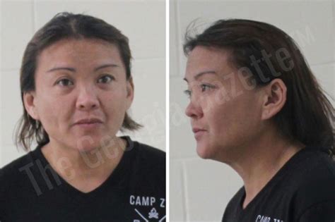 connie tran — houston county jail bookings
