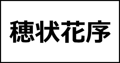 穂状花序の読み方意味英語外国語 四字熟語一覧検索ナビ