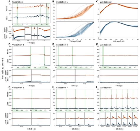 Figure S2 Normalised Whole Cell Patch Clamp Voltage Clamp Recordings