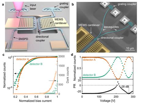 基于片上单光子探测器的可重构光子 光电汇