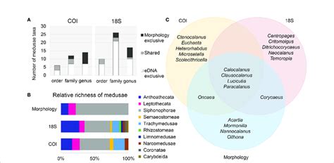 comparison of biodiversity detected by different methods a numbers download scientific