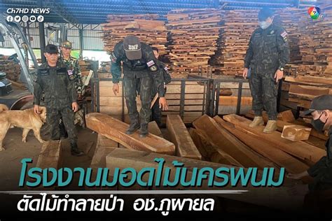 ข่าวชุดพญาเสือ บุกจับไม้จากโรงงานในนครพนม ลักลอบตัดข้ามจังหวัดจาก อช ภูผายล