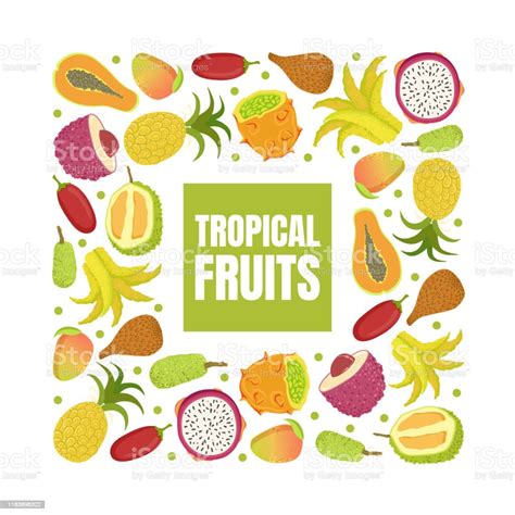 대 미적 과일 배너 템플릿 신선한 단 잘 익은 이국적인 과일 사각형 모양 벡터 일러스트 0명에 대한 스톡 벡터 아트 및 기타