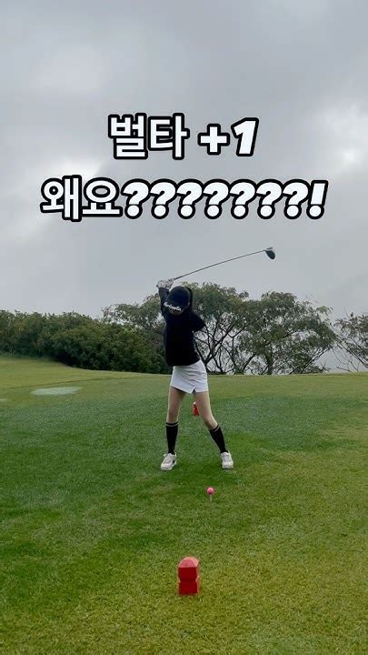 내얼굴이 벌타 😭명랑골프 라운드 골프 골프릴스 여자골프웨어 필드 골린이 드라이버스윙 골프치는여자 골프스윙