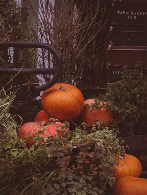 Осенние обои на телефон осенние композиции Осенние фотографии Осенние портреты Осень