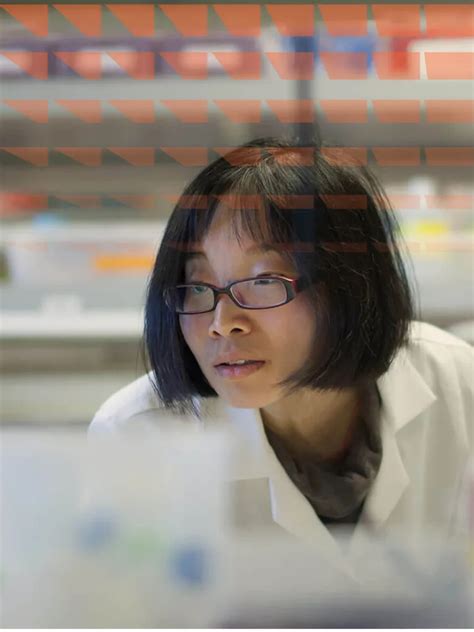 Embase Resources Elsevier