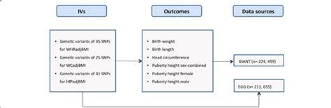 Data Source Of The Mendelian Randomization Analysis Download High Quality Scientific Diagram