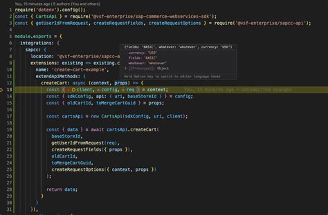 Extending Api Methods Vue Storefront For Sap Commerce Cloud