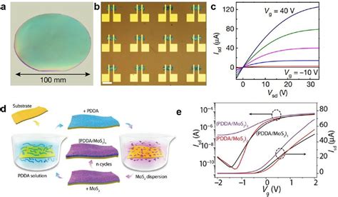 Gate Tunable Electronic Properties On Electrochemically Exfoliated Vdw