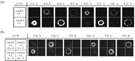 Intensity Outputs From Various Sorting Schemes Based On The Total