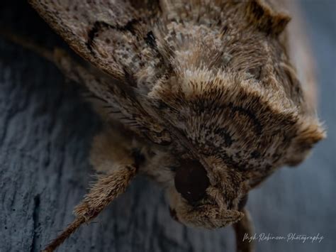 Beautiful Weather Today Rlumix