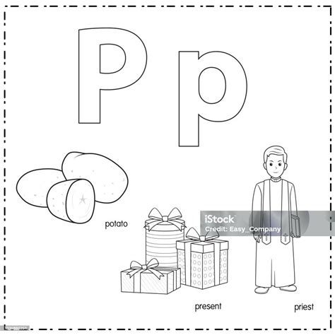 3 개의 만화 이미지를 가진 어린이를위한 소문자와 대문자 모두에서 문자 P를 학습하기위한 벡터 그림 감자 선물 사제 Celebrate Brooklyn에 대한 스톡 벡터 아트