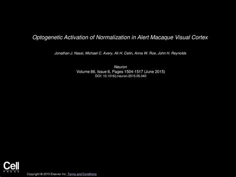 Optogenetic Activation Of Normalization In Alert Macaque Visual Cortex Ppt Download