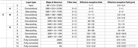 基于卷积神经网络的乳腺癌图像分类cnnsvm网络对医学图像 Csdn博客