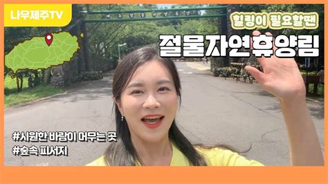 📸 무더운 여름 시원한 숲 속 피서지｜절물자연휴양림 Youtube