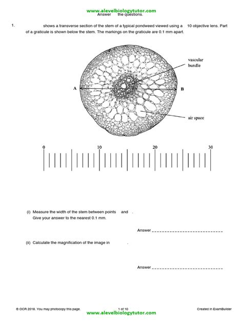 Microscope Questions Pdf Nucleotides Rna Microscope Questions Pdf Nucleotides Rna