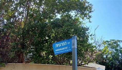 David I Rabhan On Linkedin Netanya Netanyarealestate Israel Israelrealesatate