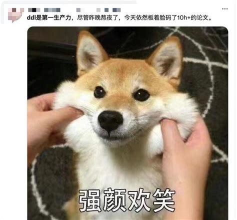 ddl是第一生产力有了科学解释，网友：给大模型试试 知乎