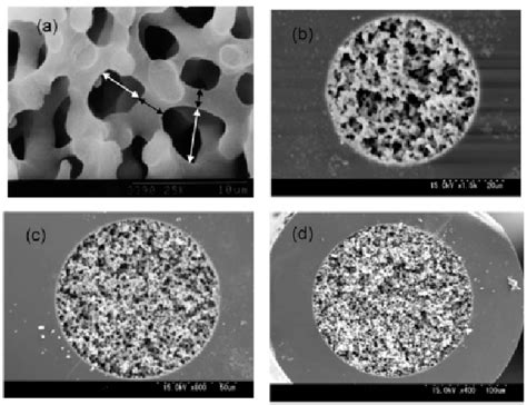 Figure 3 From Properties Of Monolithic Silica Columns For Hplc Semantic Scholar