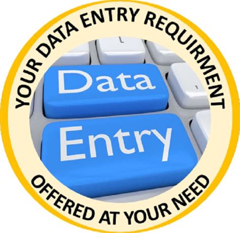 Perform Data Entry For All Your Data Analytics Requirements By