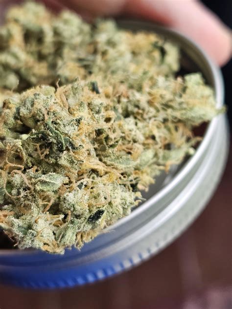 Flow Sour Sex Wax Rcultofthefranklin Flow Sour Sex Wax Rcultofthefranklin