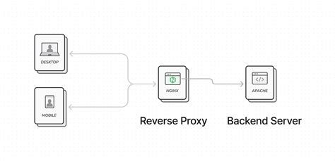 load balancer vs reverse proxy what s the difference by ravi
