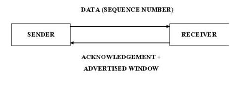 Tcp Reliable Byte Stream